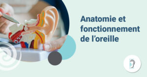 Anatomie et fonctionnement de l’oreille